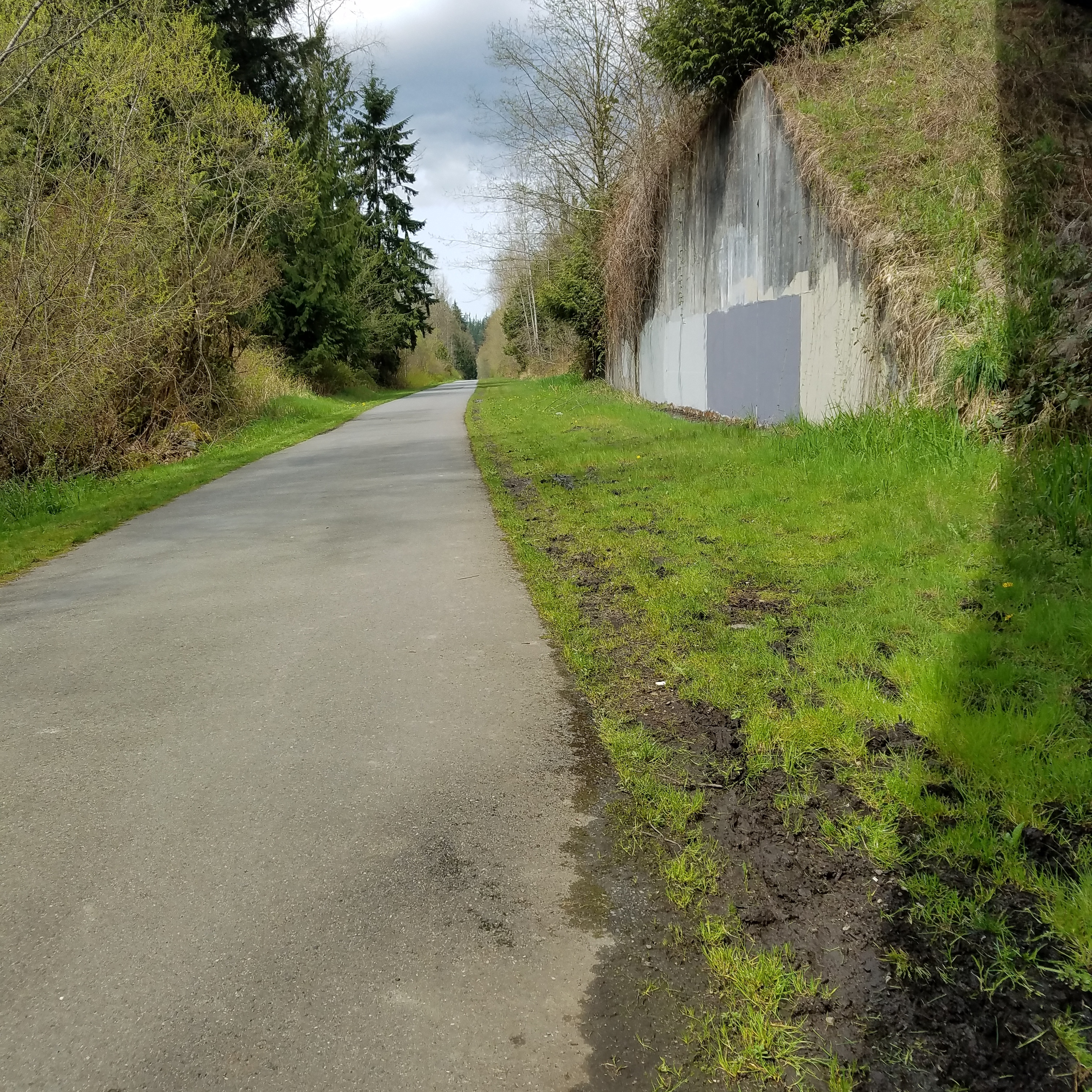 A great respite in this dreary spring of Seattle's discontent - Not ...